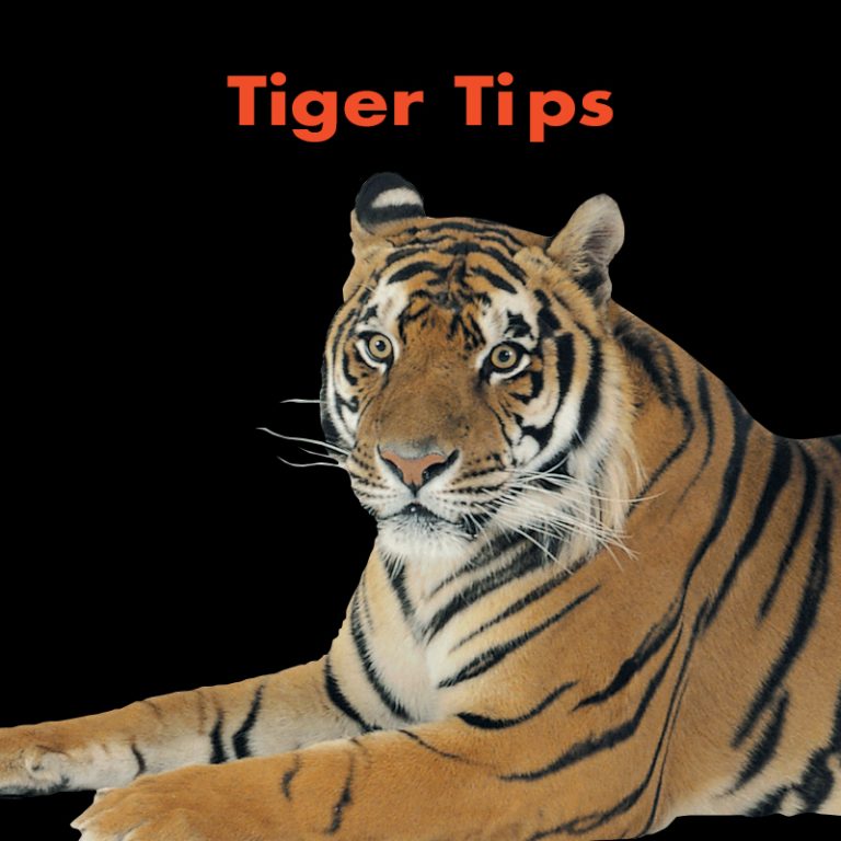 Tiger Brand Mining Power Cables